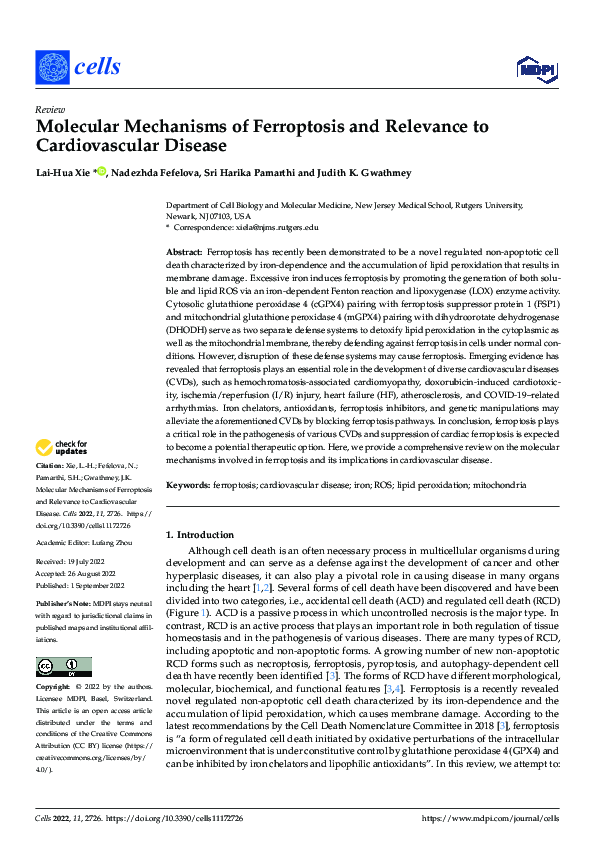 (PDF) Molecular Mechanisms of Ferroptosis and Relevance to Cardiovascular Disease