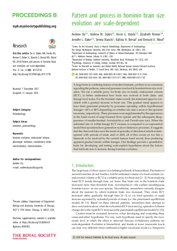(PDF) Pattern and process in hominin brain size evolution are scale ...