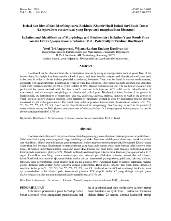 (PDF) Isolasi dan Identifikasi Morfologi serta Biokimia Khamir Hasil ...