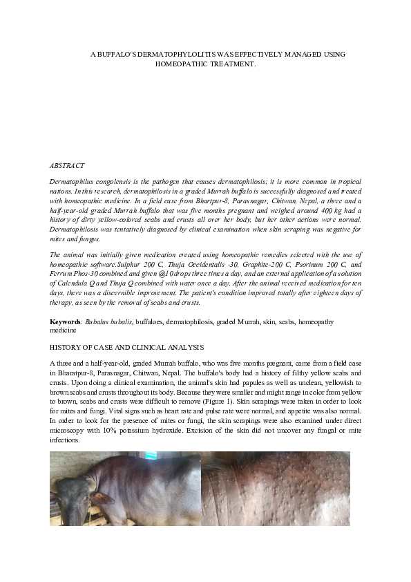 (PDF) A BUFFALO'S DERMATOPHYLOLITIS WAS EFFECTIVELY MANAGED USING ...