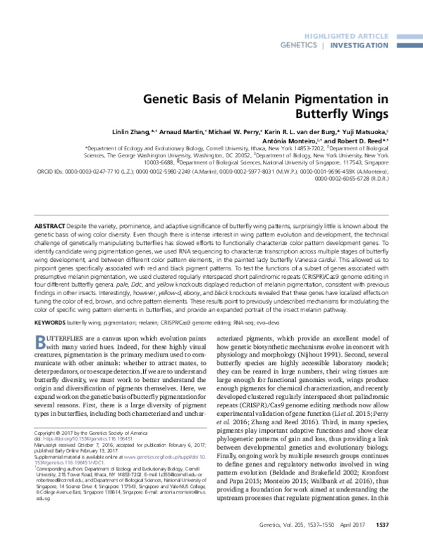 (PDF) Genetic Basis of Melanin Pigmentation in Butterfly Wings