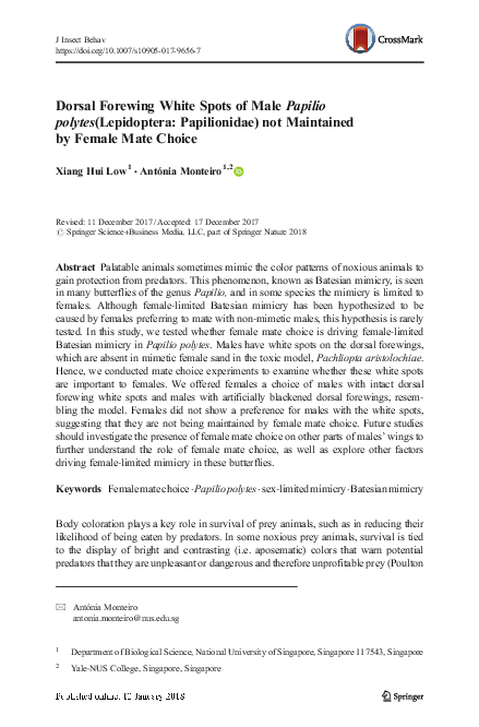 (PDF) Dorsal Forewing White Spots of Male Papilio polytes(Lepidoptera ...