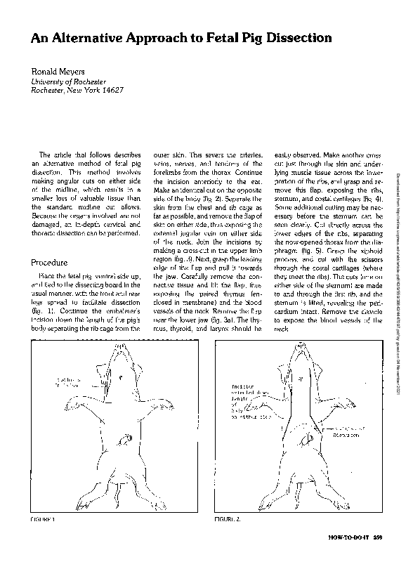 (PDF) An Alternative Approach to Fetal Pig Dissection