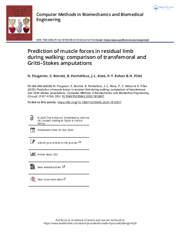 (PDF) Prediction of muscle forces in residual limb during walking ...