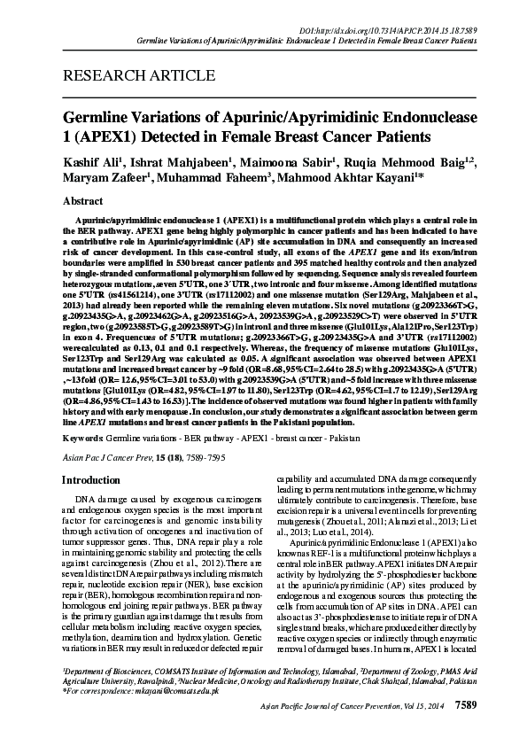 (PDF) Germline Variations of Apurinic/Apyrimidinic Endonuclease 1 ...
