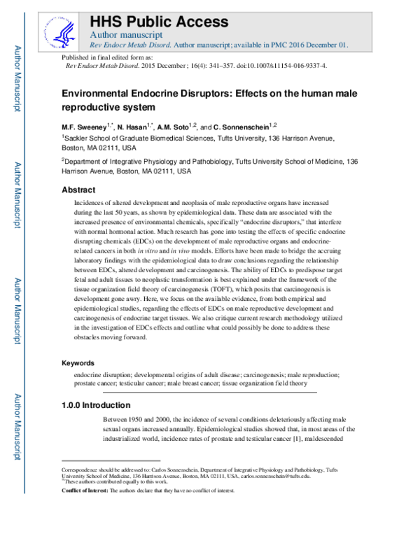 (PDF) Environmental endocrine disruptors: Effects on the human male ...