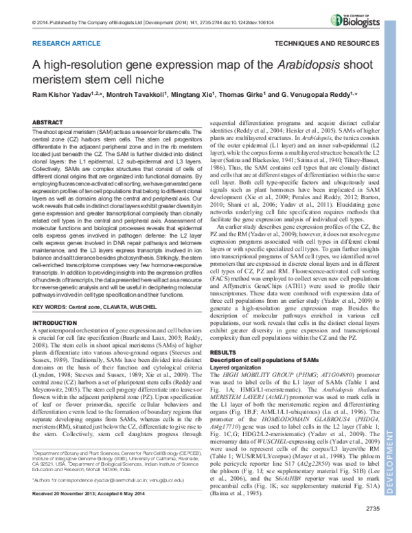 (PDF) A high-resolution gene expression map of the Arabidopsis shoot ...