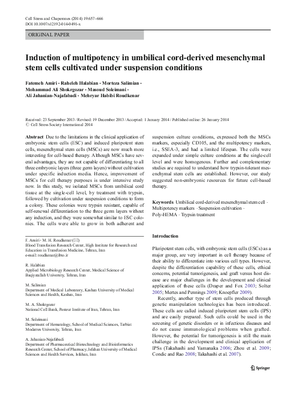 (PDF) Induction of multipotency in umbilical cord-derived mesenchymal ...