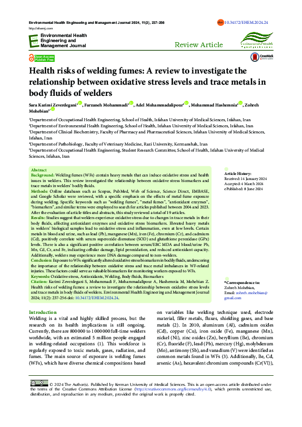 (PDF) Health risks of welding fumes: A review to investigate the ...