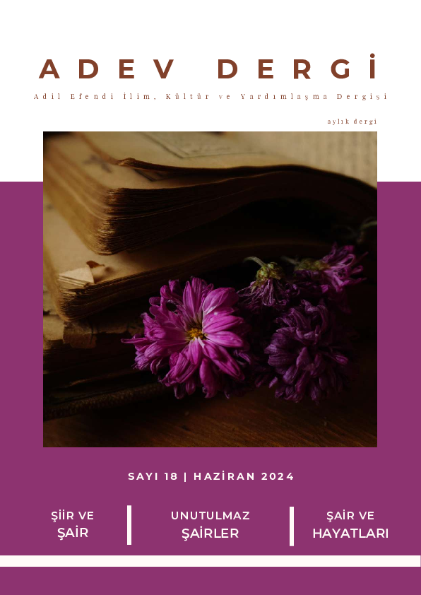 (PDF) ADEV DERGİ HAZİRAN 2024