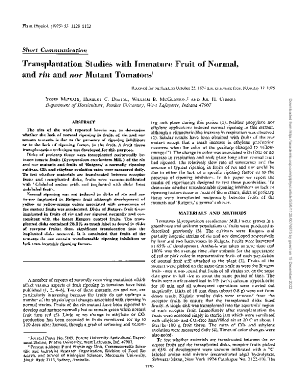 (PDF) Transplantation Studies with Immature Fruit of Normal, and rin ...