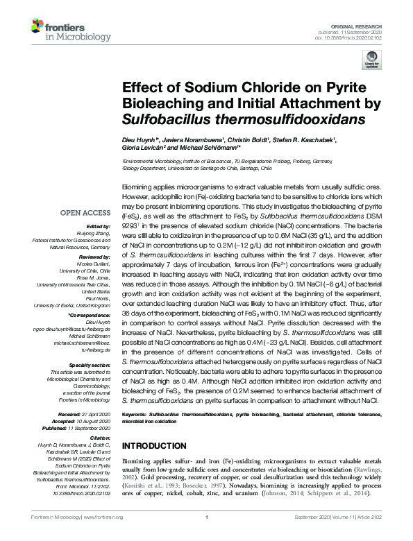 (PDF) Effect of Sodium Chloride on Pyrite Bioleaching and Initial ...