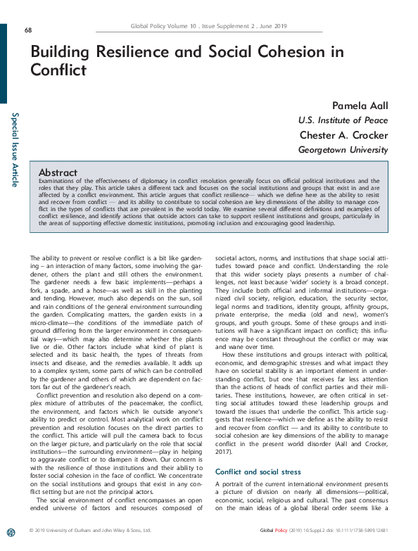 (PDF) Building Resilience and Social Cohesion in Conflict