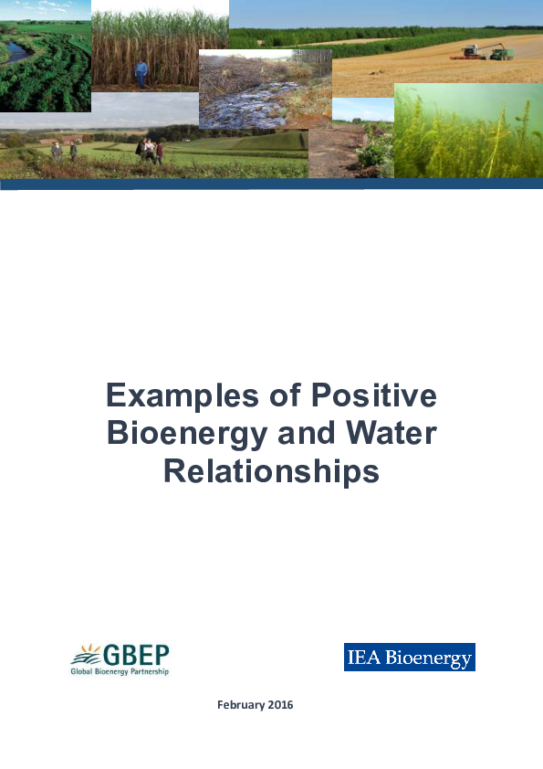 (PDF) Examples of Positive Bioenergy and Water Relationships', a report ...