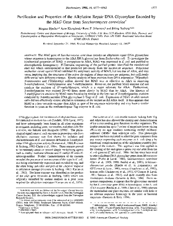 (PDF) Purification and Properties of the Alkylation Repair DNA ...
