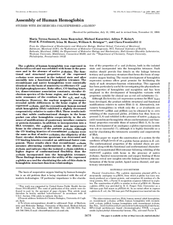 (PDF) Assembly of Human Hemoglobin