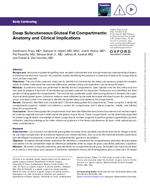 (PDF) Deep Subcutaneous Gluteal Fat Compartments: Anatomy and Clinical ...