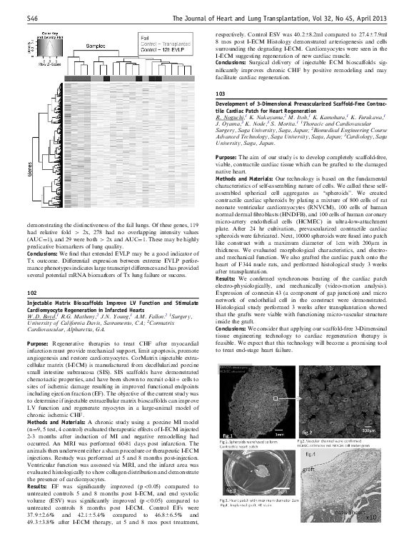 (PDF) Injectable Matrix Bioscaffolds Improve LV Function and Stimulate ...
