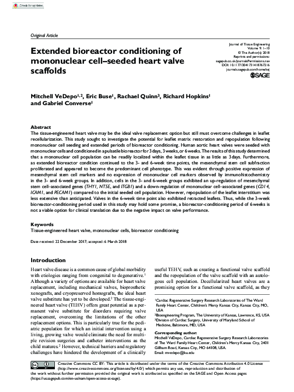 (PDF) Extended bioreactor conditioning of mononuclear cell–seeded heart ...