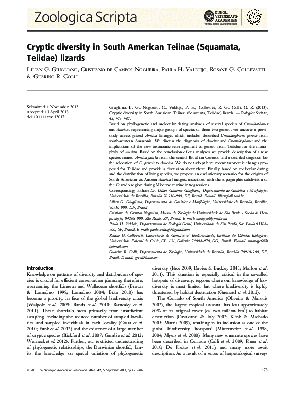 (PDF) Cryptic diversity in South American Teiinae (Squamata, Teiidae ...