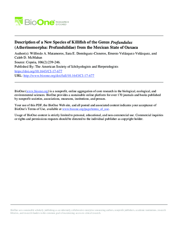 (PDF) Description of a New Species of Killifish of the Genus ...