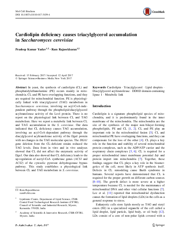 (PDF) Cardiolipin deficiency causes triacylglycerol accumulation in ...
