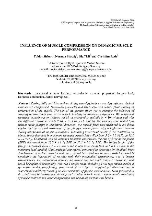 (PDF) Influence of Muscle Compression on Dynamic Muscle Performance