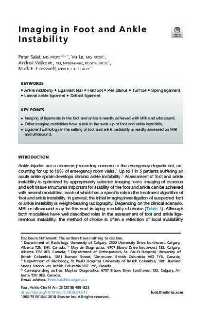 (PDF) Imaging in Foot and Ankle Instability