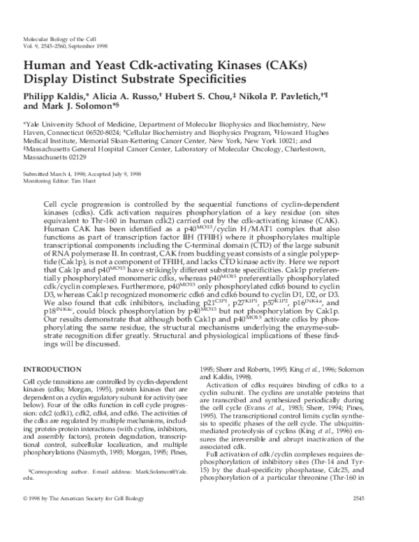 (PDF) Human and Yeast Cdk-activating Kinases (CAKs) Display Distinct ...