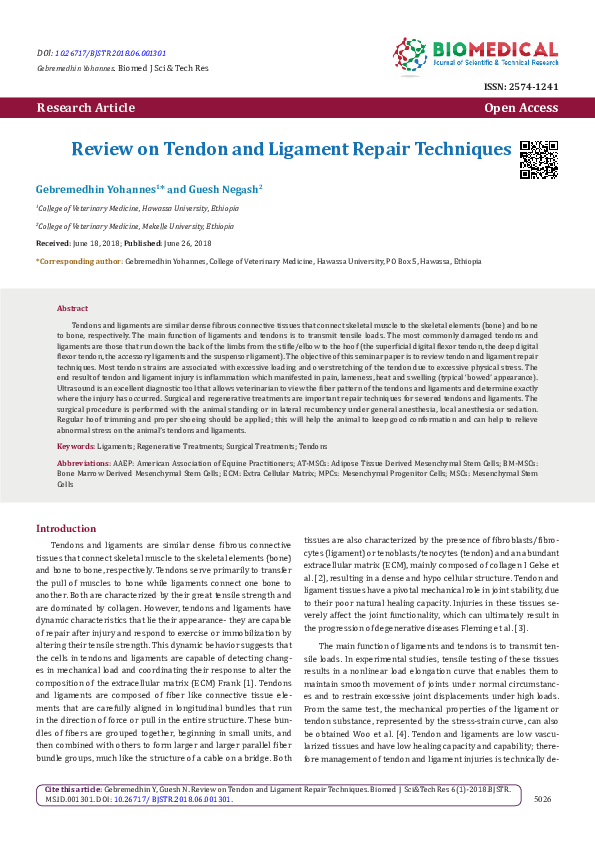 (PDF) Review on Tendon and Ligament Repair Techniques