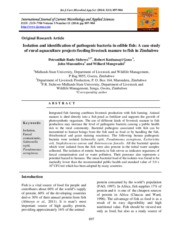 (PDF) Isolation and identification of pathogenic bacteria in edible ...