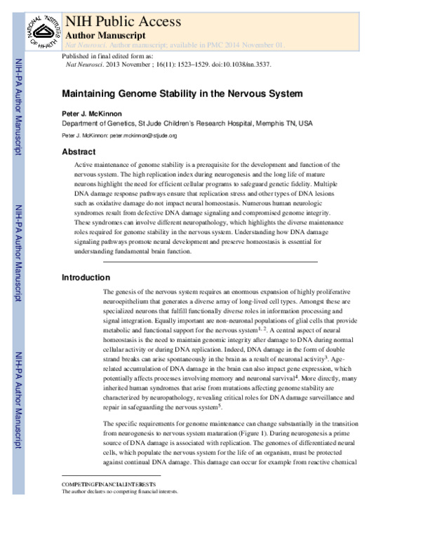 (PDF) Maintaining genome stability in the nervous system