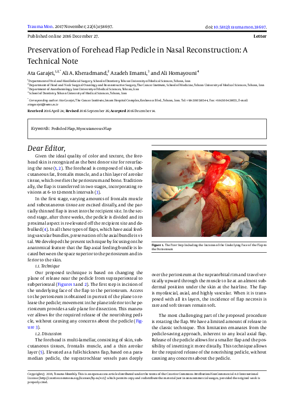 (PDF) Preservation of Forehead Flap Pedicle in Nasal Reconstruction: A Technical Note | Ali ...