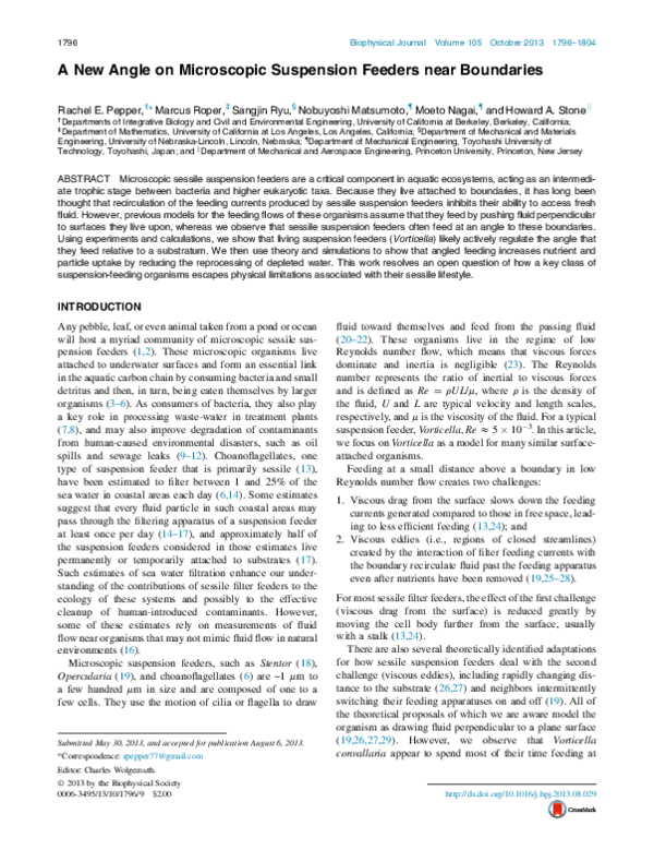 (PDF) A New Angle on Microscopic Suspension Feeders near Boundaries