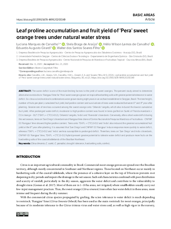 (PDF) Leaf proline accumulation and fruit yield of ‘Pera’ sweet orange ...