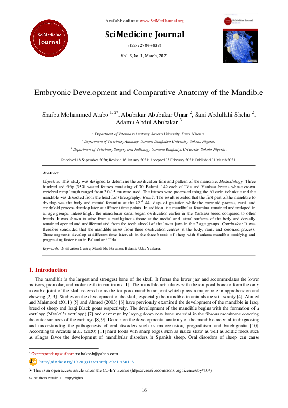 (PDF) Embryonic Development and Comparative Anatomy of the Mandible