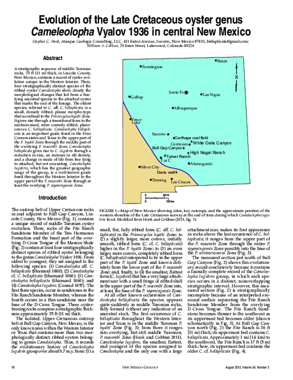 (PDF) Evolution of the Late Cretaceous oyster genus Cameleolopha Vyalov ...