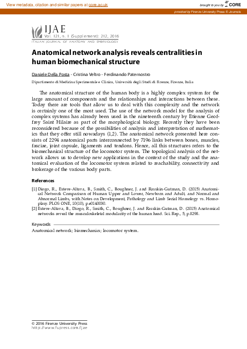 (PDF) Anatomical network analysis reveals centralities in human biomechanical structure