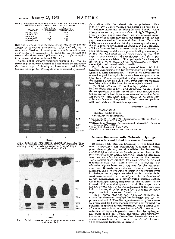 Pdf Nitrate Reduction With Molecular Hydrogen In A Reconstituted Enzymatic System