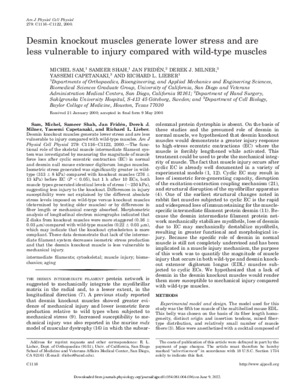 (PDF) Desmin knockout muscles generate lower stress and are less ...