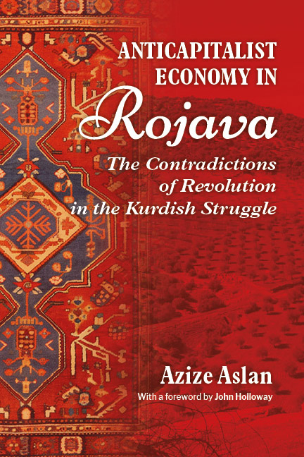 (PDF) Anticapitalist Economy in Rojava. The Contradictions of Revolution in the Kurdish Struggle
