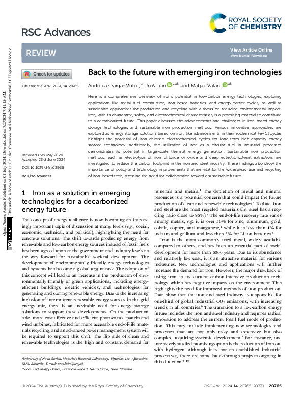 (PDF) Back to the future with emerging iron technologies