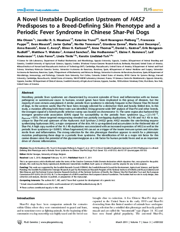 (PDF) Duplication Upstream of HAS2 Links Skin Traits to Fever in Shar-Pei