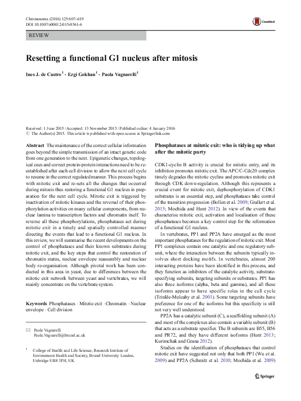 (PDF) Resetting a functional G1 nucleus after mitosis