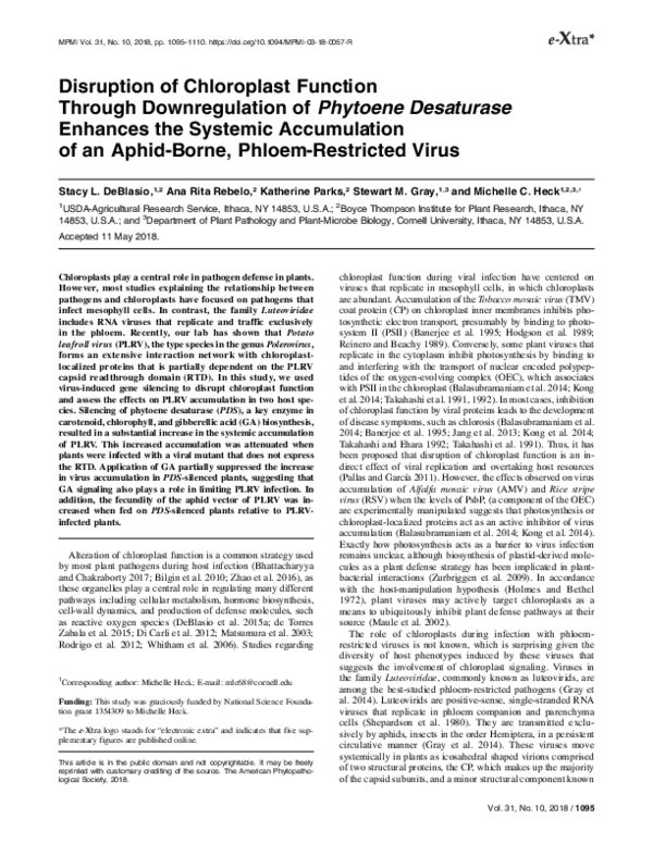 (PDF) Disruption of chloroplast function through downregulation of ...