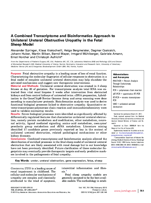 (PDF) A Combined Transcriptome and Bioinformatics Approach to Unilateral Ureteral Obstructive ...