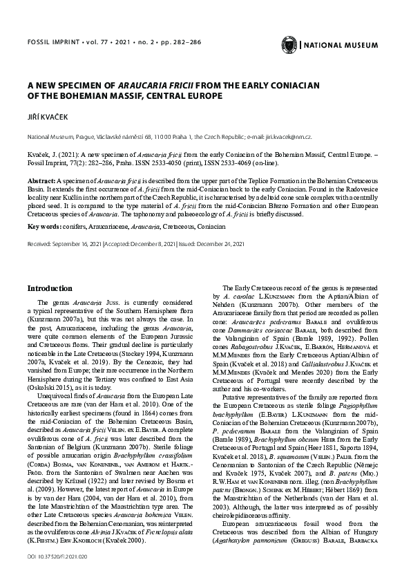 (PDF) A new specimen of Araucaria fricii from the early Coniacian of ...