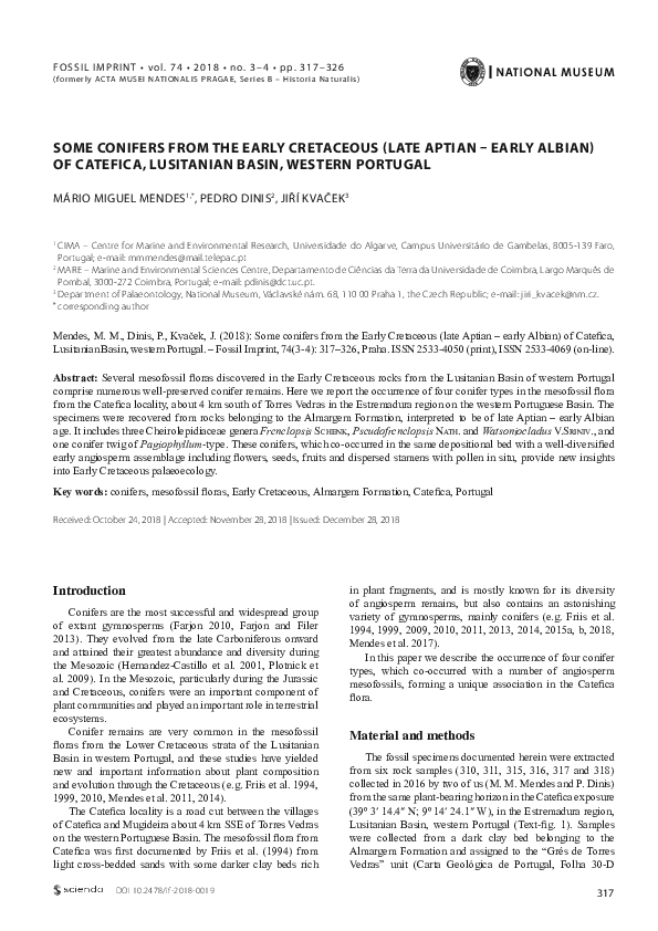 (PDF) Some Conifers from The Early Cretaceous (Late Aptian – Early ...