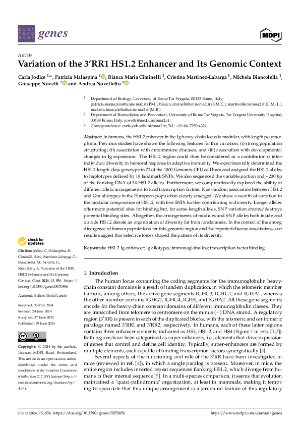 (PDF) Variation of the 3'RR1 HS1.2 Enhancer and Its Genomic Context