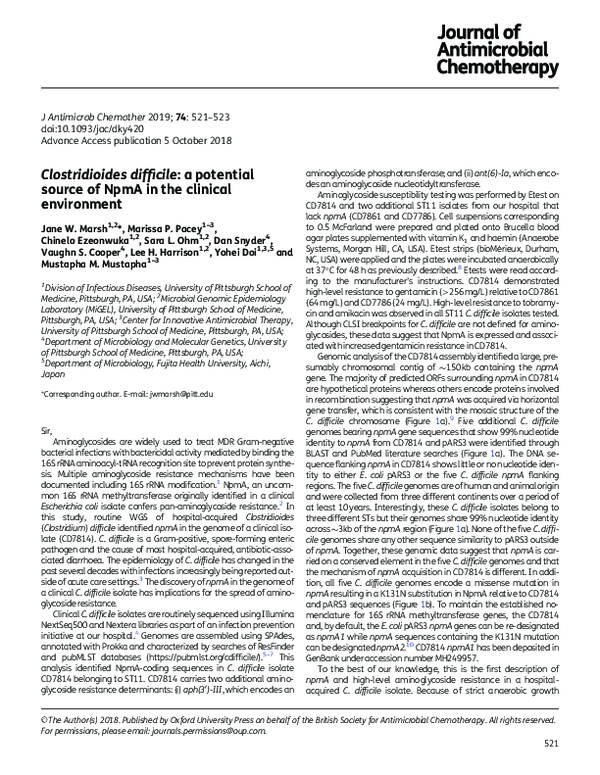 (PDF) NpmA Gene in Clostridioides difficile and Resistance